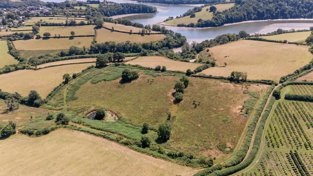 Rewilding Update - January 2024 – New Wood Trees